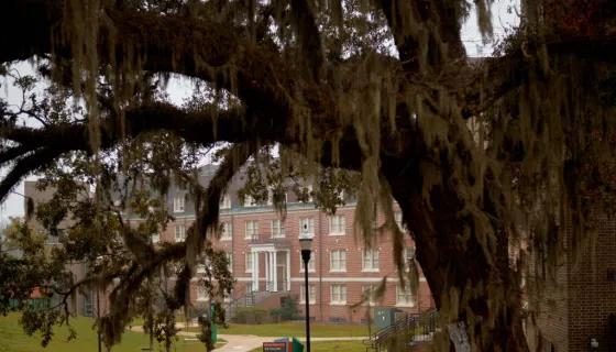 Release The Rattler Receipts: FAMU Vice Chair Calls For Emergency ...