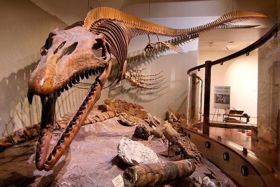 Mosasaurs: The Real Sea Monsters of the Cretaceous - NewsBreak
