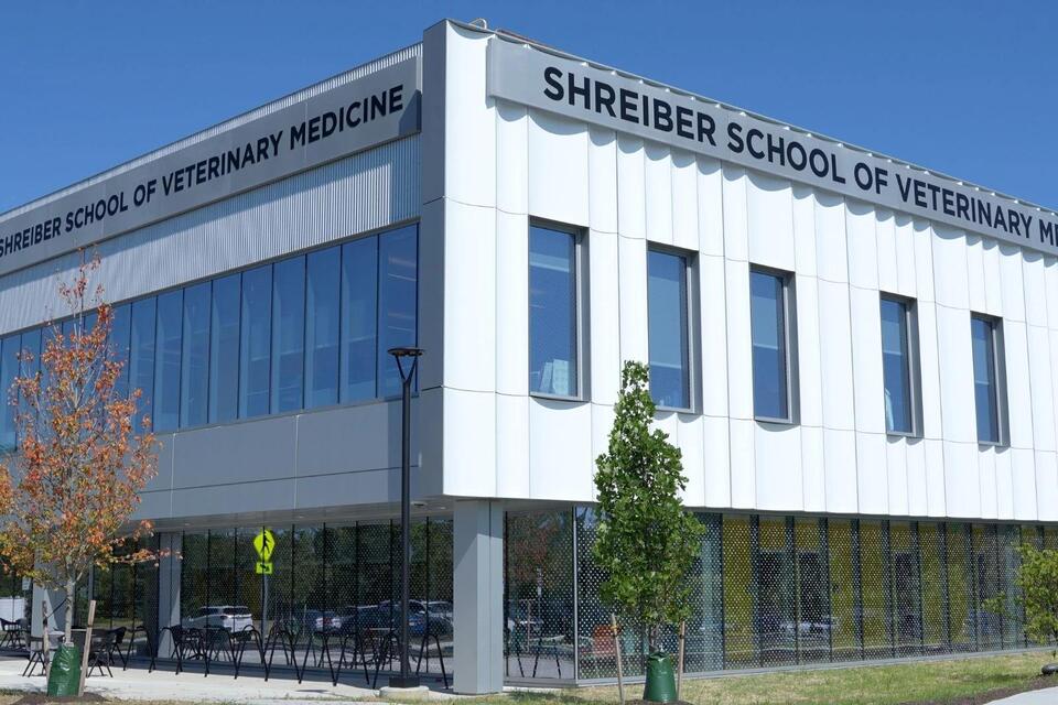 History made as New Jersey's first ever veterinary school opens - NewsBreak
