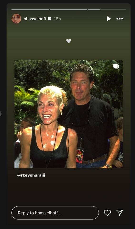 David Hasselhoff Speaks Out Following the Death of His Ex-Wife Pamela ...