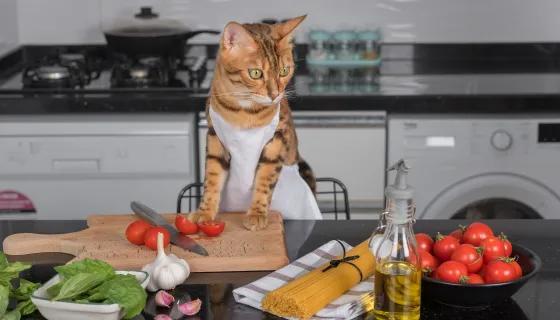 Cat Hair Cuisine! Funniest Office Potluck Tweets, Viral Videos & More ...