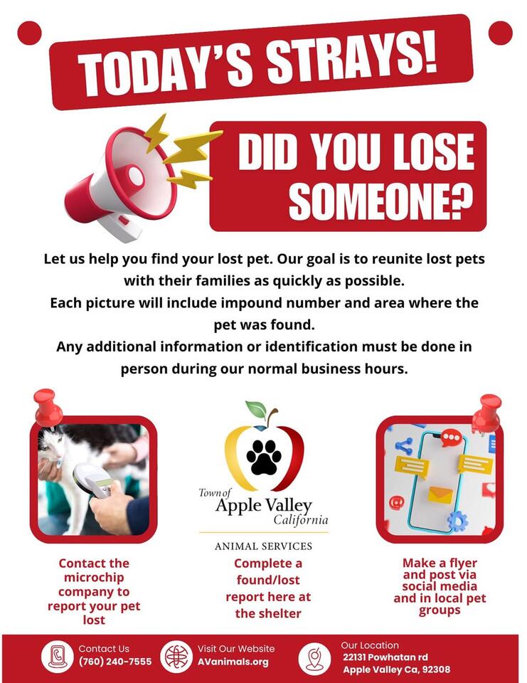 Apple Valley Animal Shelter Lists New Stray Pets - NewsBreak