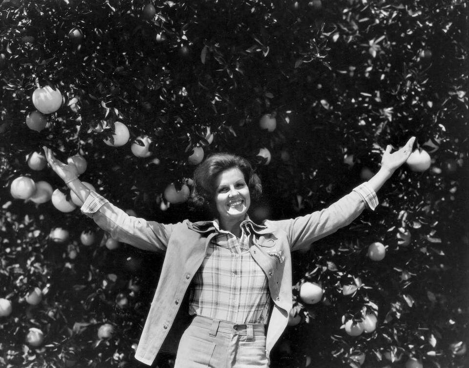 Why was Anita Bryant pied in the face? Gay Rights activist Thom Higgins ...