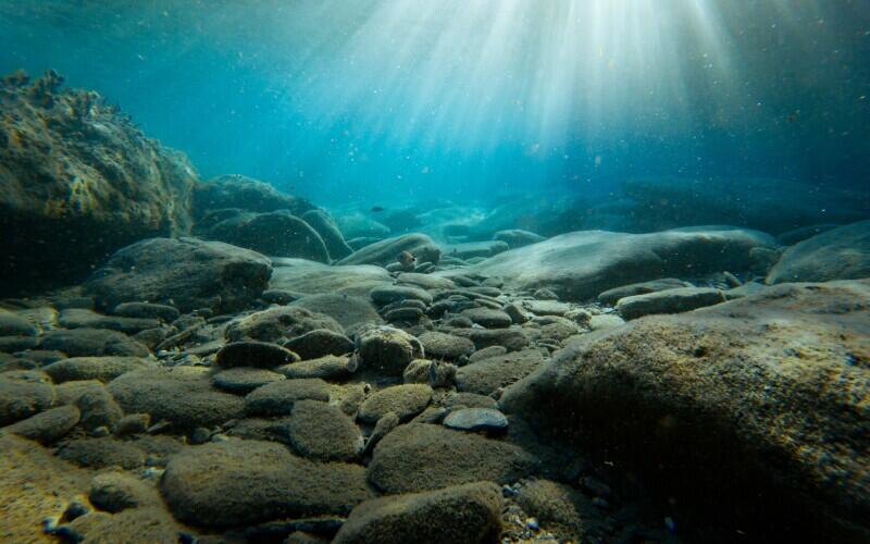 Amazon’s subsea cable off Oregon approved; concerns remain - NewsBreak