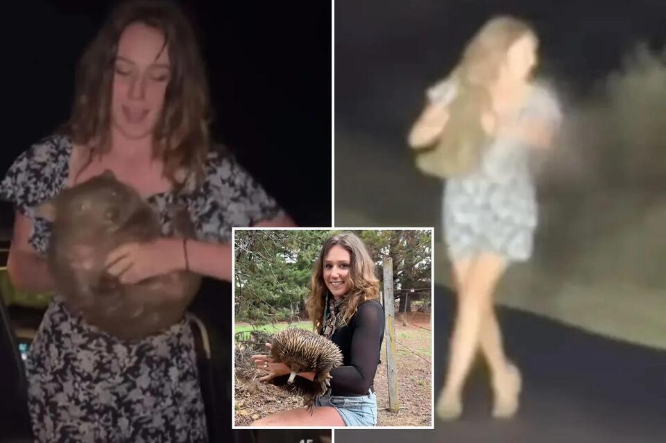 US influencer breaks silence after snatching baby wombat from its ...