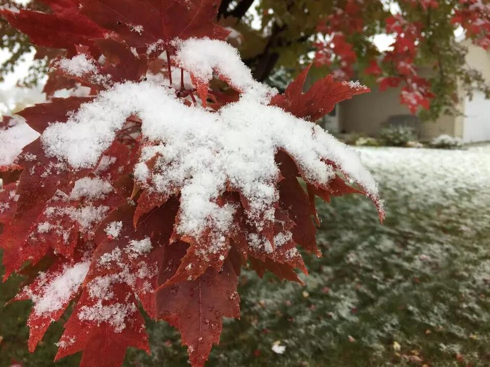 When Is the Earliest It’s Ever Snowed in Minnesota? - NewsBreak