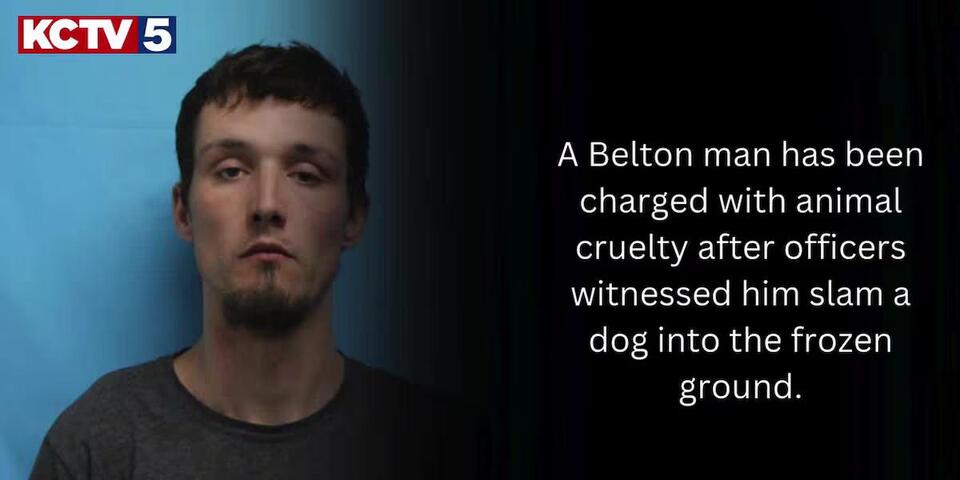 Belton man arrested after officers witness him slam dog into frozen ...