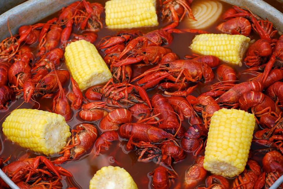 Feast Like a Cajun: Top 5 Louisiana Christmas Dishes You Need to Try ...