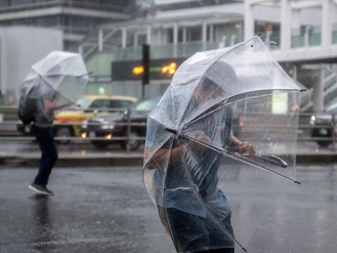 Make the most of a cloudy Monday in Presho with these activities