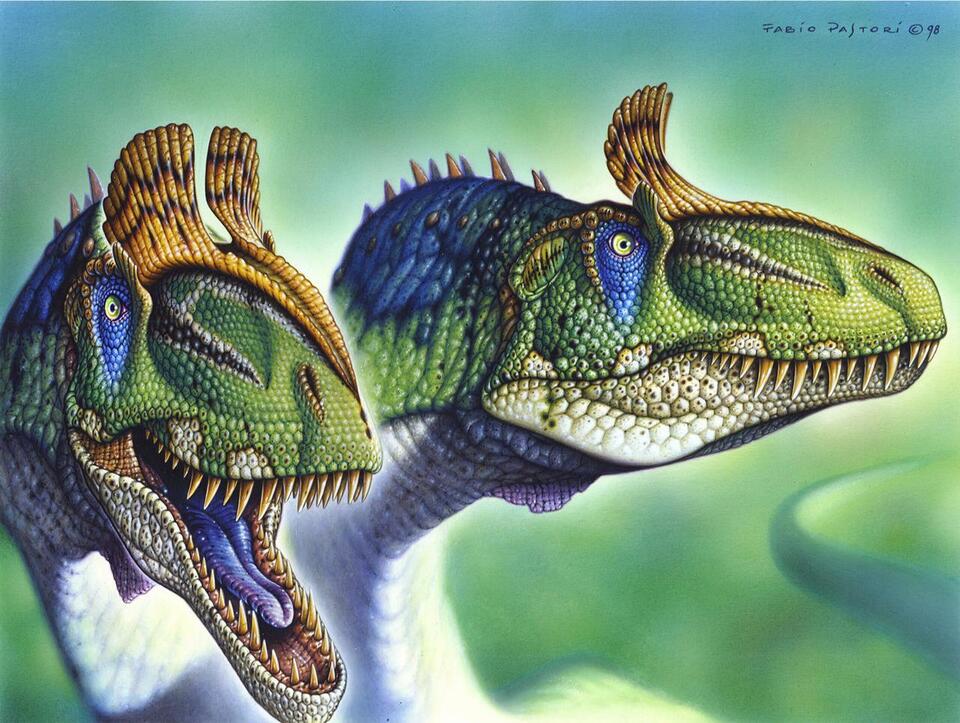 Were Any Dinosaurs Actually Blue? The Color Controversy - NewsBreak