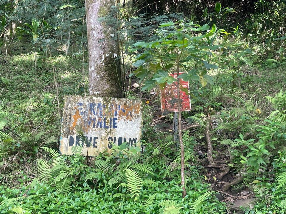 Hawaii's Haiku stairs debate: Community divided over fate of iconic ...