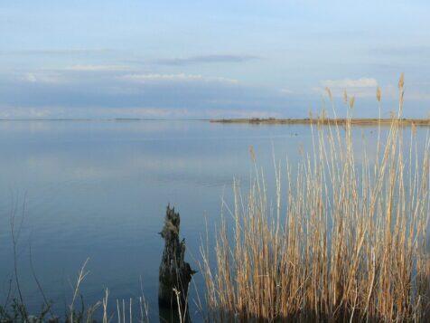 Spirit Lake Tribe declares State of Emergency, enters lockdown