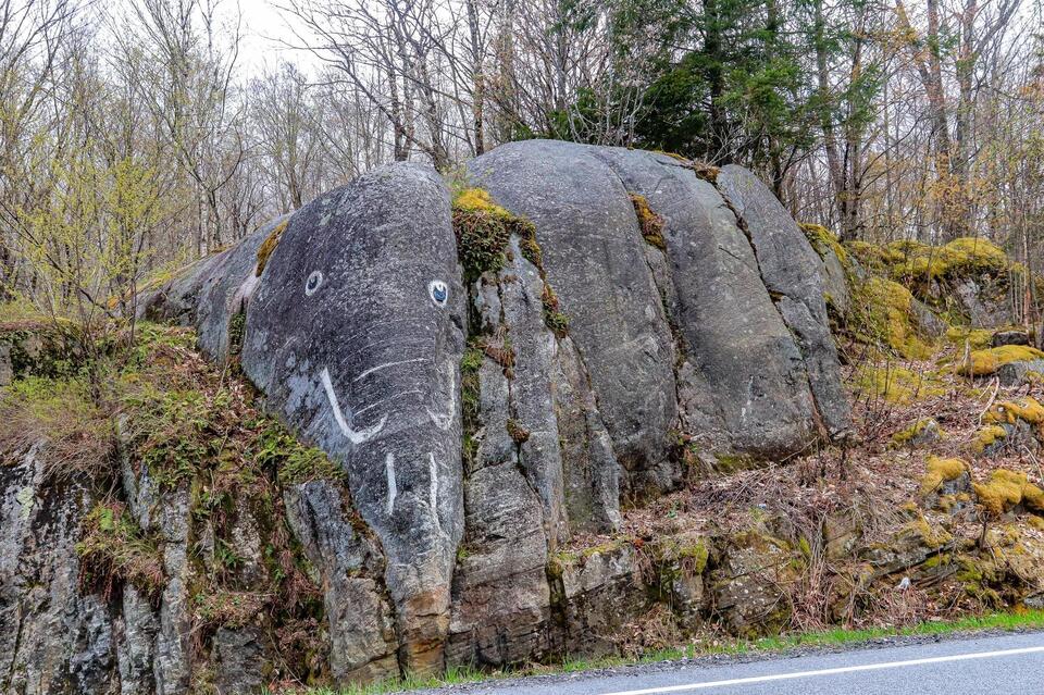 Spotted in the Adirondacks: The Capital Region’s Own Elephant Rock ...