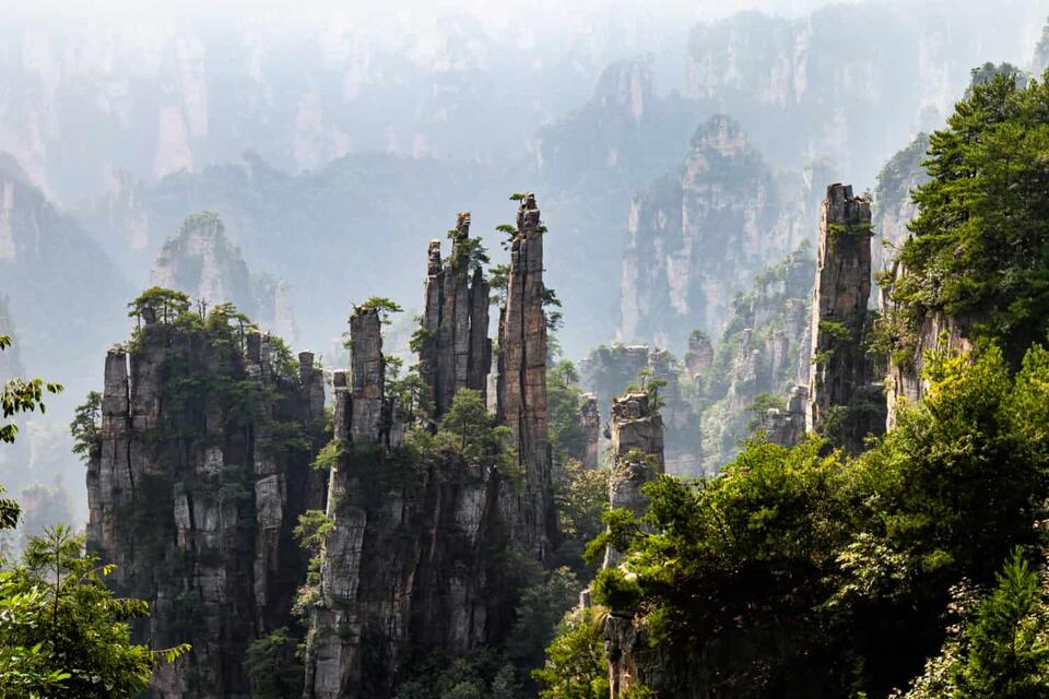Discover Where ‘Avatar’ Was Filmed (And Places It Was Inspired From ...