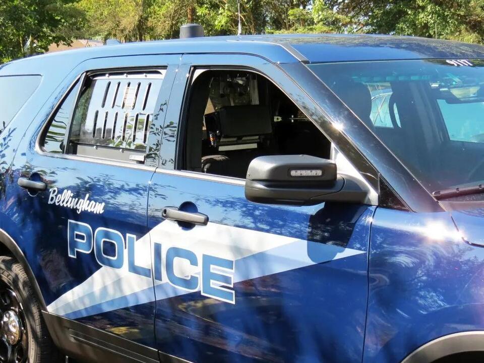 Court documents detail versions of Bellingham road rage incident that ...