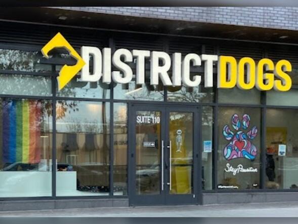 Tina Leone Takes the Reins as CEO of District Dogs Amid Ongoing Lawsuit ...