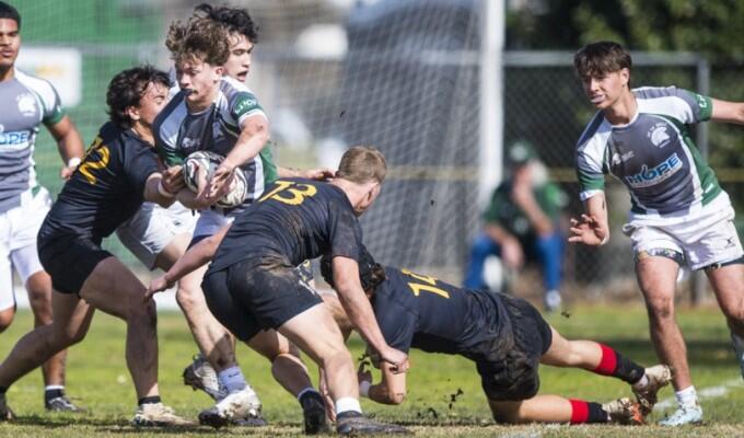 NorCal Single-School Latest: DLS Over Jesuit and More - NewsBreak