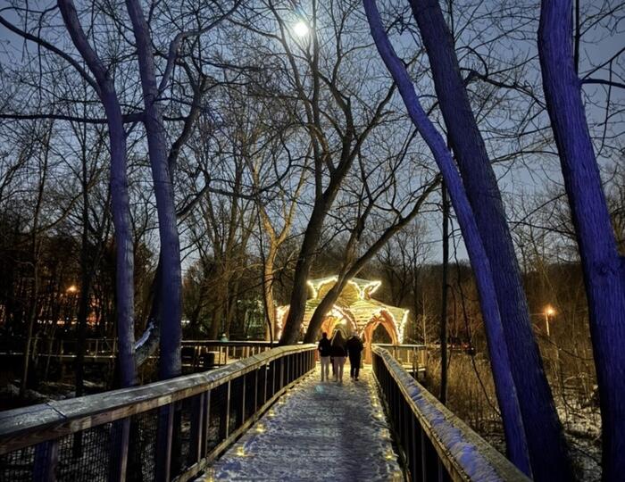 Walk in Luminary-Lit Woods art the Nature Center at Shaker Lakes ...
