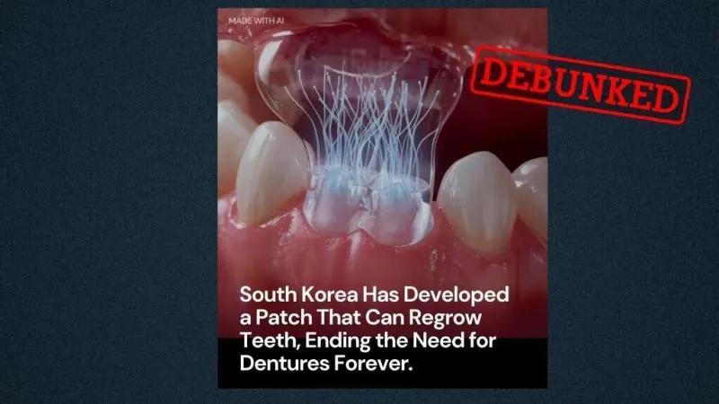 No, this South Korean patch can't regrow teeth - NewsBreak