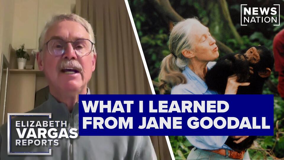 Jane Goodall died with her boots on, unafraid: Nat Geo writer - NewsBreak