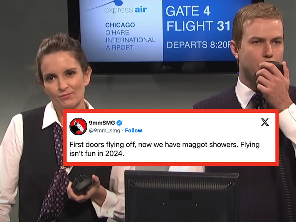 Rotten Fish And Maggots Were Found In A Passenger’s Luggage After Bugs ...