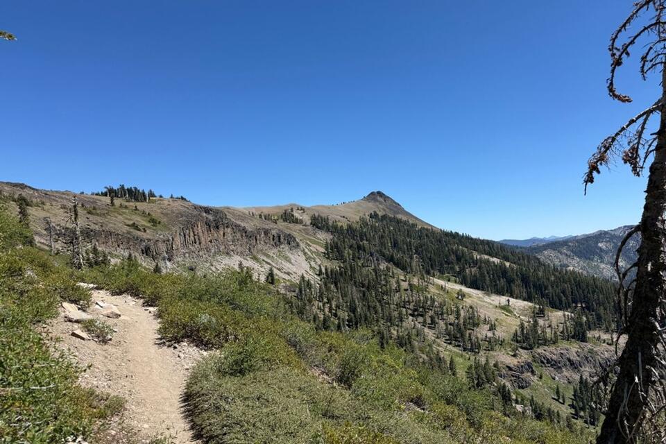 Norovirus Outbreak Spreads Along Pacific Crest Trail in California ...