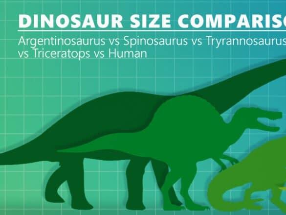 Meet the Spinosaurus – One of The Largest Carnivorous Dinosaur in History (Bigger than a T-Rex!)