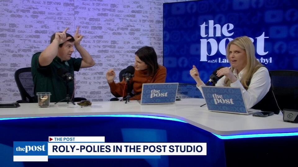 Sam the Bug Man and his Roly-Polies | The Post - NewsBreak