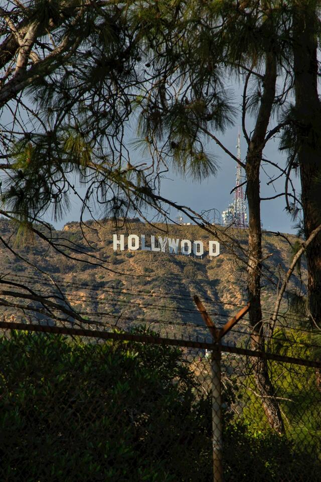 Sydney Sweeney's Bold Hollywood Sign Climb Ignites Debate Over ...