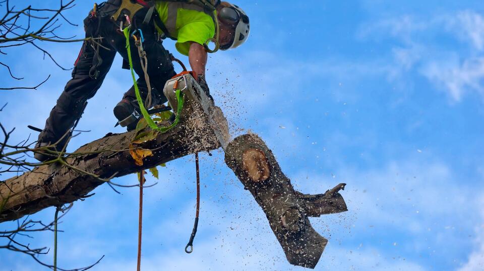 Spruce saws off only drug after 2nd hyperplasia fail, leaving biotech's ...
