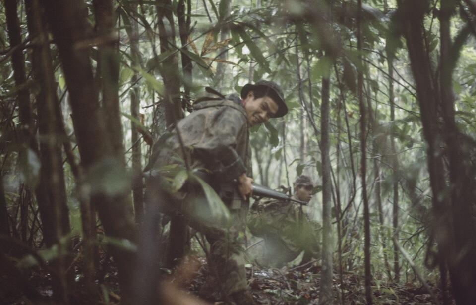 How the harsh and grueling conditions of the jungle impacted American soldiers during the ...
