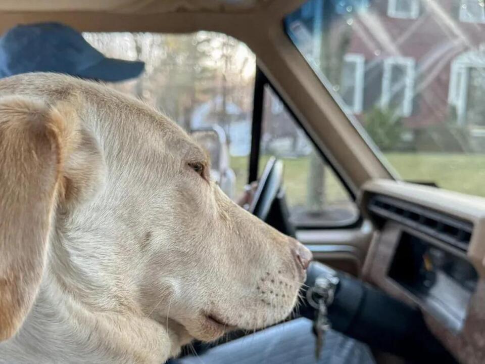Zach Bryan Reveals “28” Was Inspired By His Dog, Boston, Surviving ...