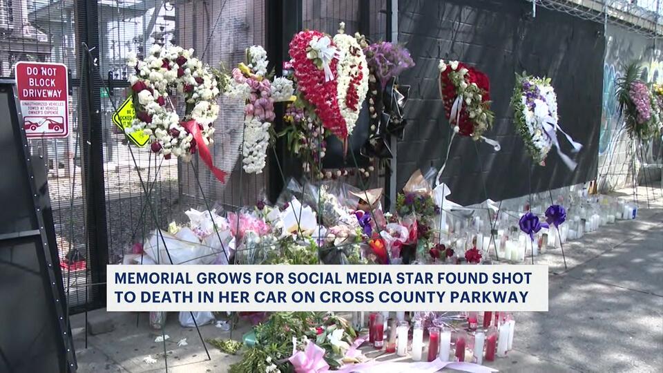 Questions swirl in case of social media star killed in Cross County ...