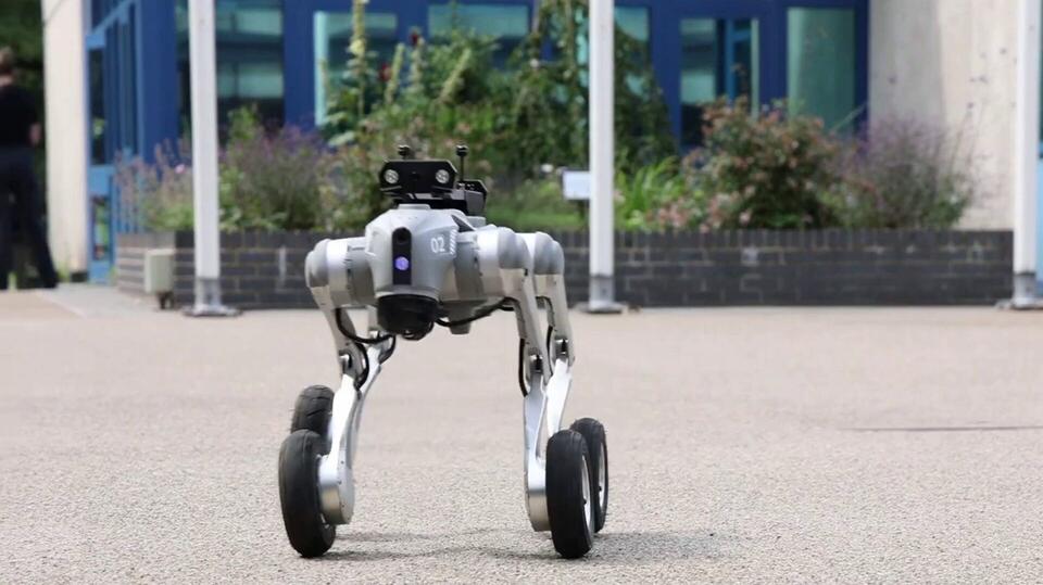 Police force trials futuristic robo-dog in UK first - NewsBreak
