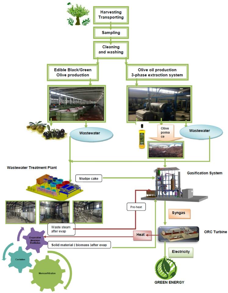 Evaluation of olive processing wastes in terms of zero discharge and ...