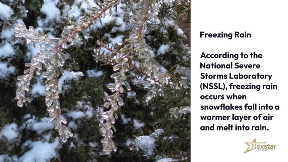 What to do with sprinkler, irrigation systems before a freeze - NewsBreak