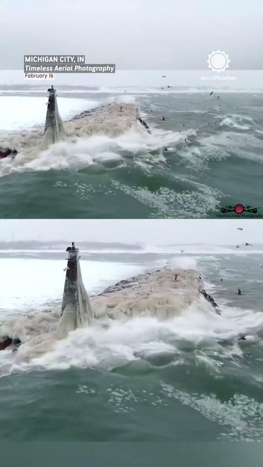 Epic waves and seagull action in Indiana! 🌊🕊️ Watch these monster ...