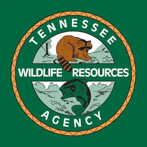 TWRA Learns Identity of Four Individuals Caught on Camera at the ...