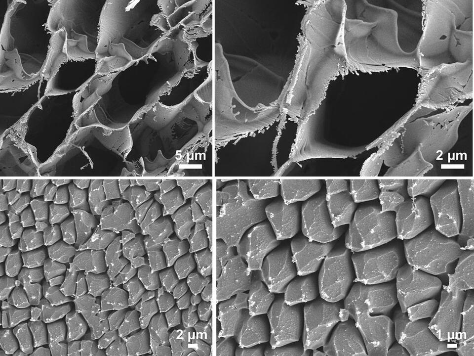 New Phosphorescent Probe Unmasks Microstructures in Water Ice