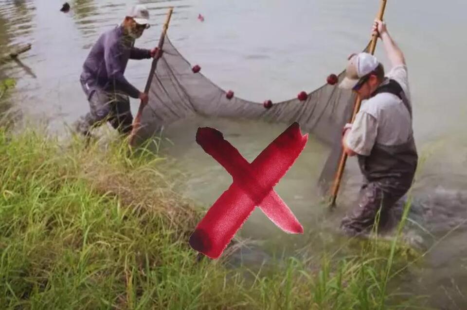 Texas Authorities Find Invasive Species: ‘They’re Not Supposed to be ...