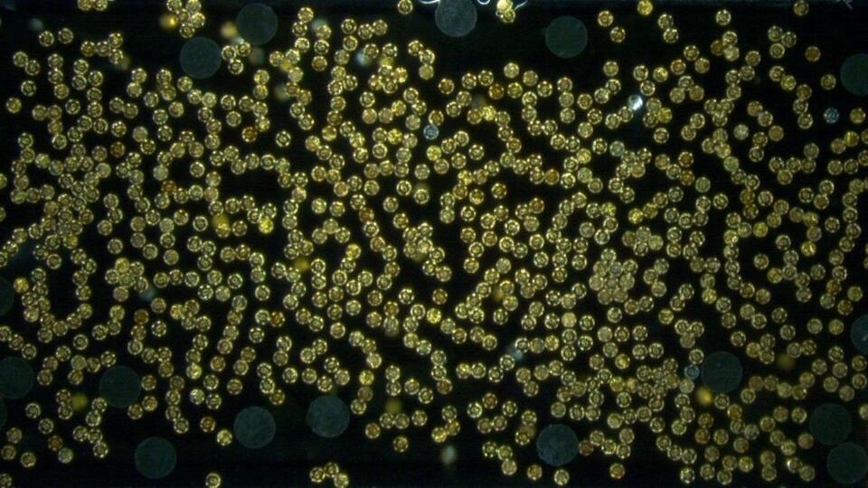 Tiny Robot Swarms Lift Objects 45,000 Times Their Weight - NewsBreak
