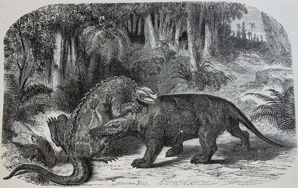 What the Gaps in the Fossil Record Really Mean - NewsBreak