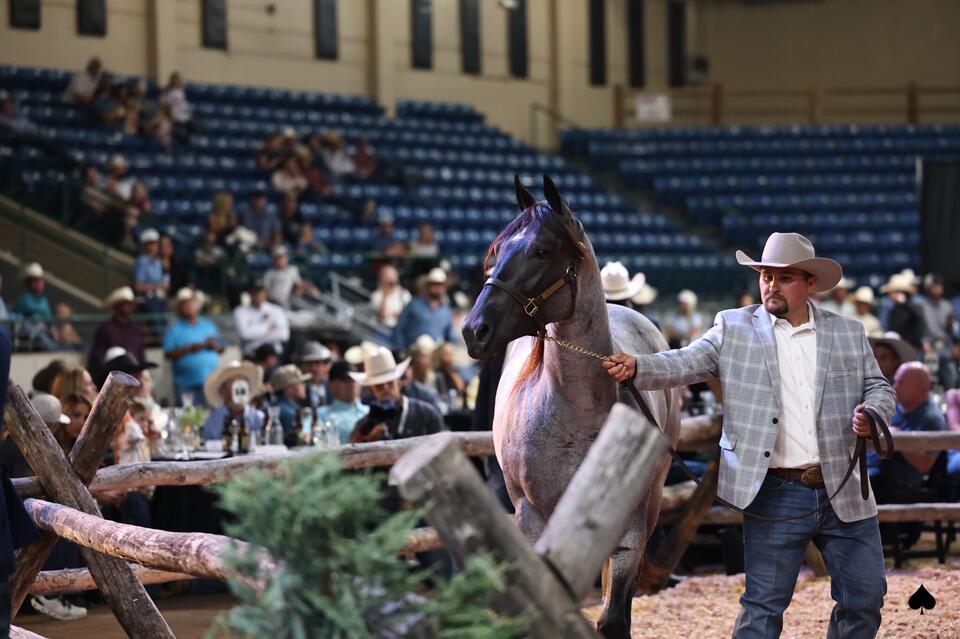 $1.7 Million for a Rope Horse Mare: Solo/Relentless Sell Crosby Ray Von ...