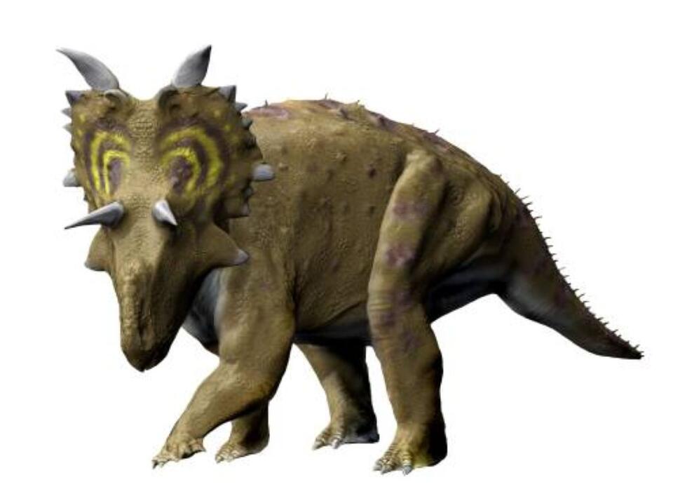 Xenoceratops: The Oldest Known Horned Dinosaur of Canada - NewsBreak