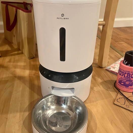 🎁 Freebies Up for Grabs in Columbia — Furniture, Pet Gear & More ...