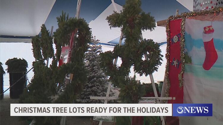 Christmas tree lots ready for holiday shoppers - NewsBreak