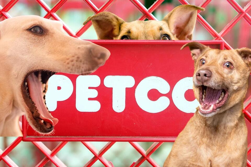 Petco Closing Locations Nationwide — The Bark Was Bigger Than the Bite ...