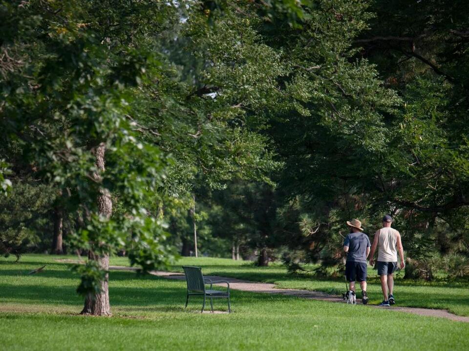 Denver neighborhoods without trees can get 9 degrees hotter than the ...