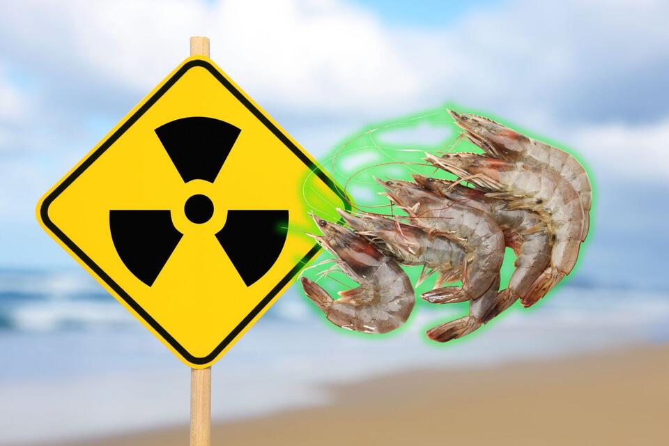 Possible Radioactive Shrimp Being Recalled in Colorado - NewsBreak