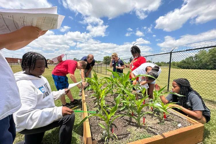 JJK Foundation, Landsdowne land grants for trees - NewsBreak